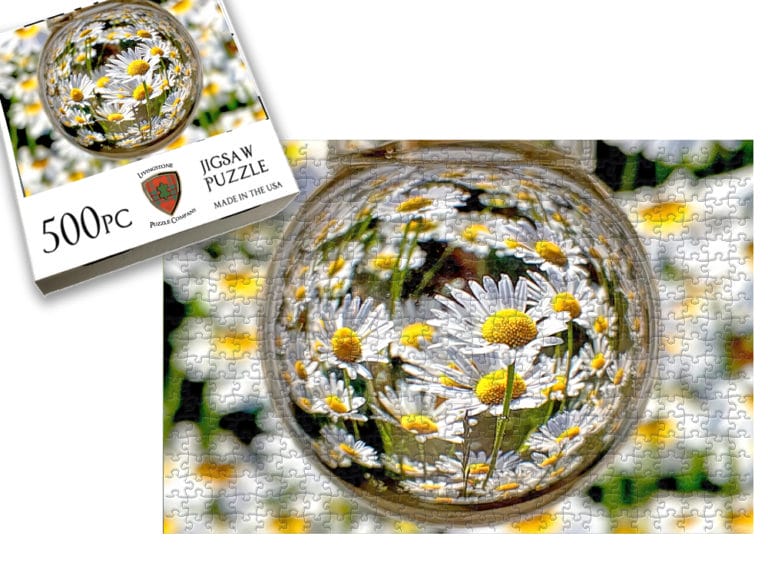 Daisy Spring – Livingstone Puzzle Company